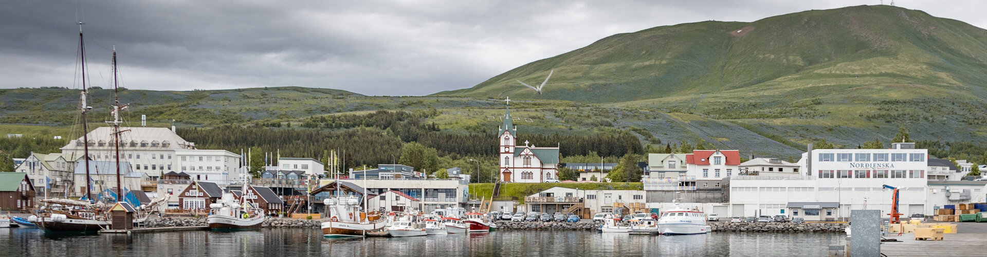 Husavik : que faire ? Conseils et guide pratique